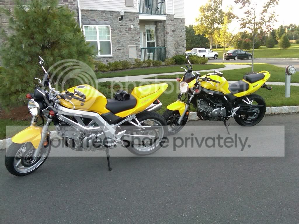 color question 04 vs. 05 yellow | Suzuki SV650 Riders Forum