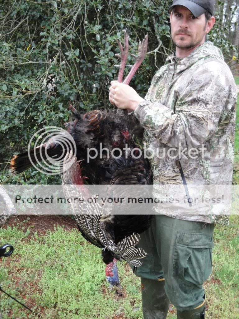 Put one down - Hunting Beast™ / The Hunting Beast™