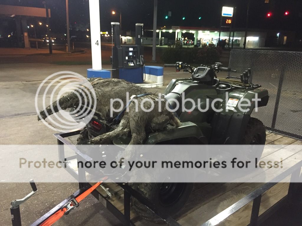 Hunting Photos post your pics here! | Page 70 | Lone Star Boars
